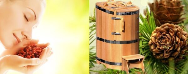 Benefits of Sauna: 8 Ways It Makes You Healthier and Happier – Rebirth PRO